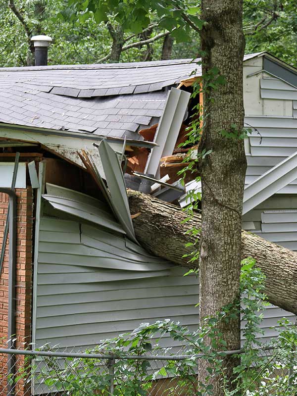 Windstorm Insurance | Hurricane Insurance - Alloy Insurance